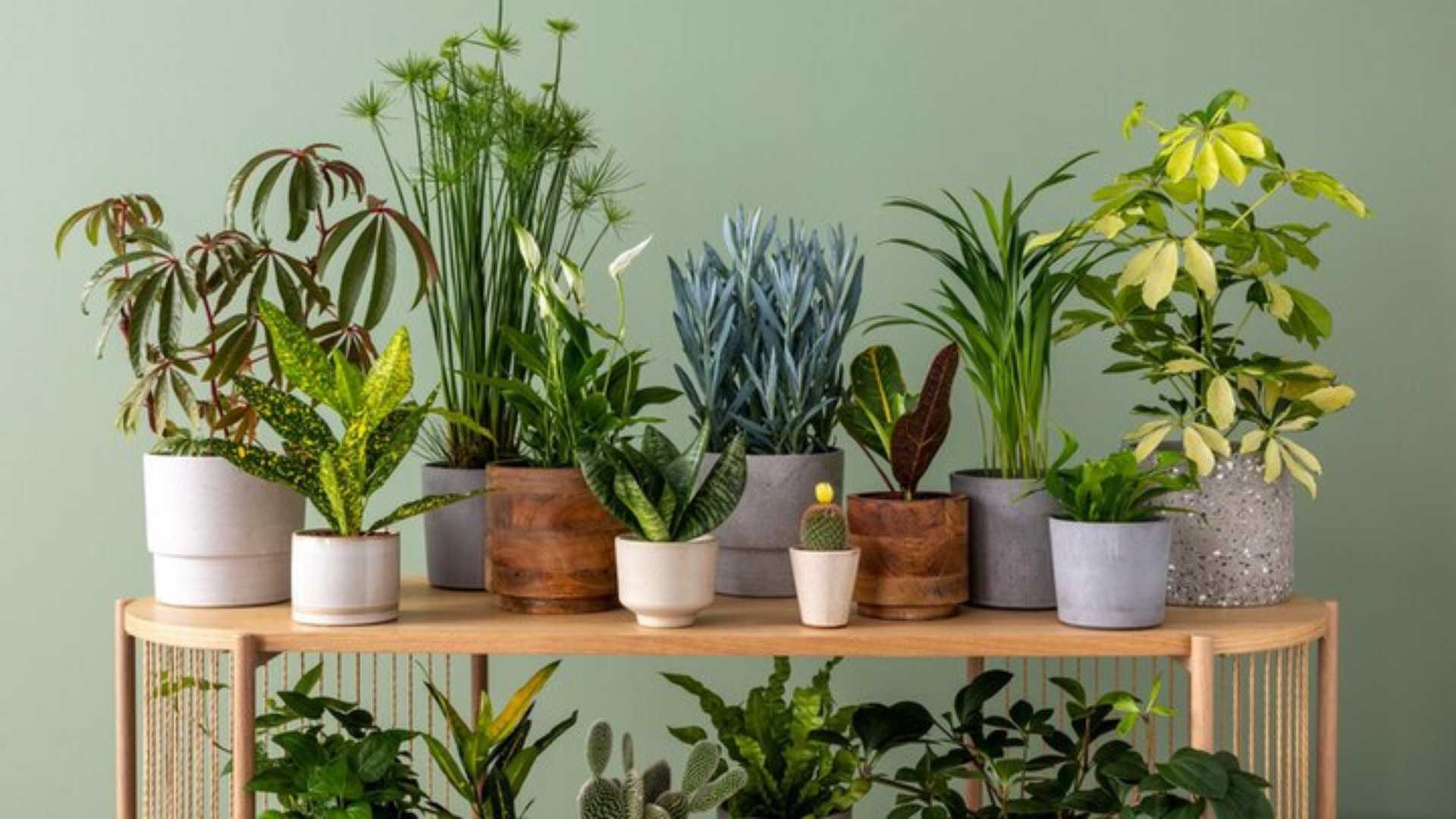 Sitemapcdatahttpsshopinf Inetcomcloison Vegetale Ikea
